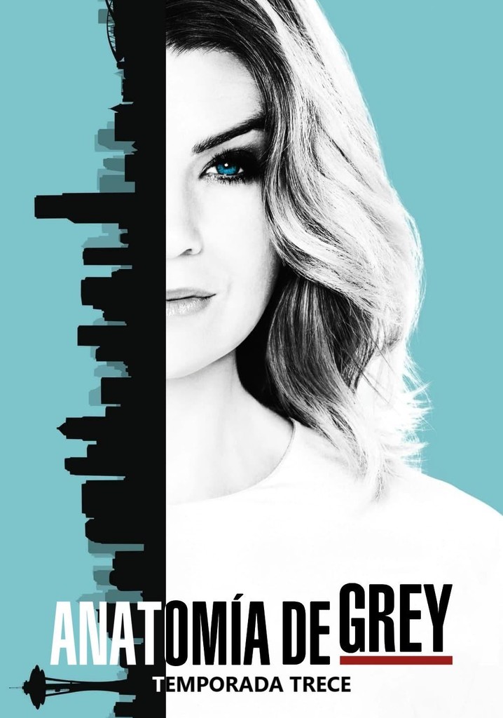 Anatomía de Grey temporada 13 - Ver episodios online
