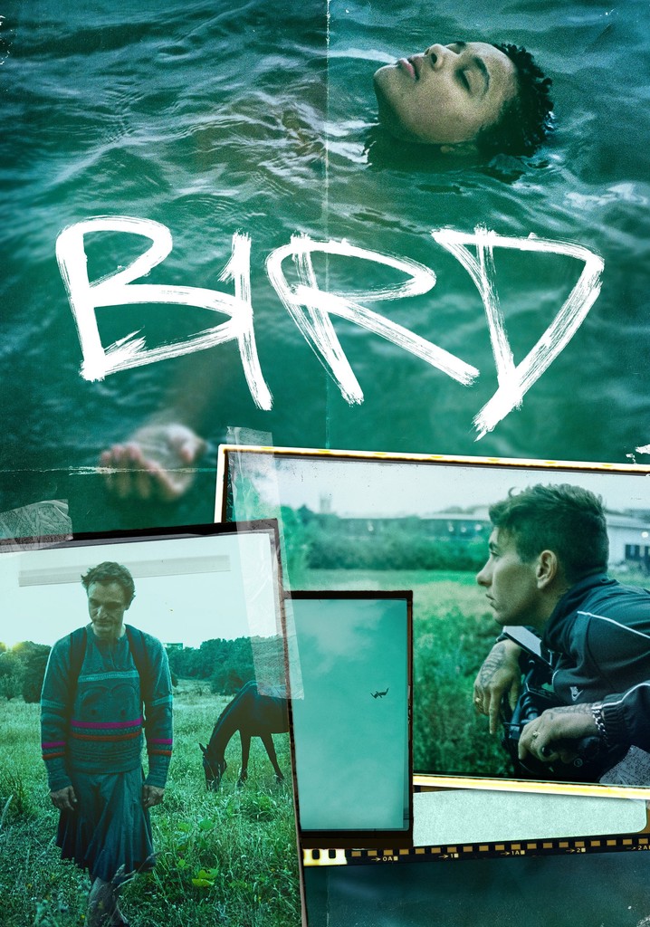 Bird - movie: where to watch streaming online