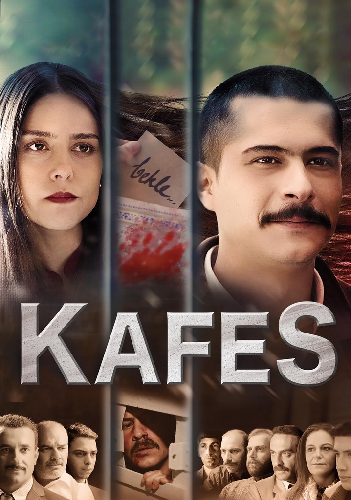 Kafes yayını: İnternette nereden film izlenir?