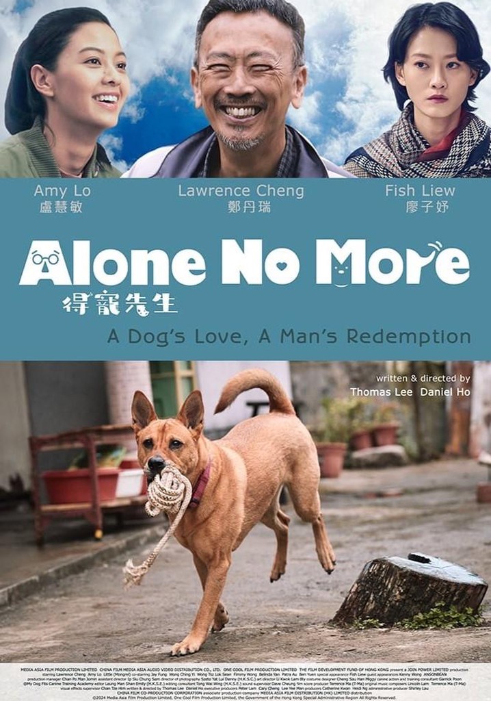 An Abandoned Team streaming: where to watch online?