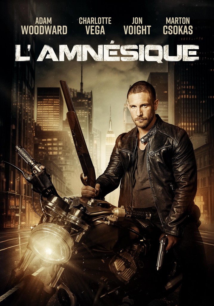 Regarder L'amnésique en streaming complet et légal