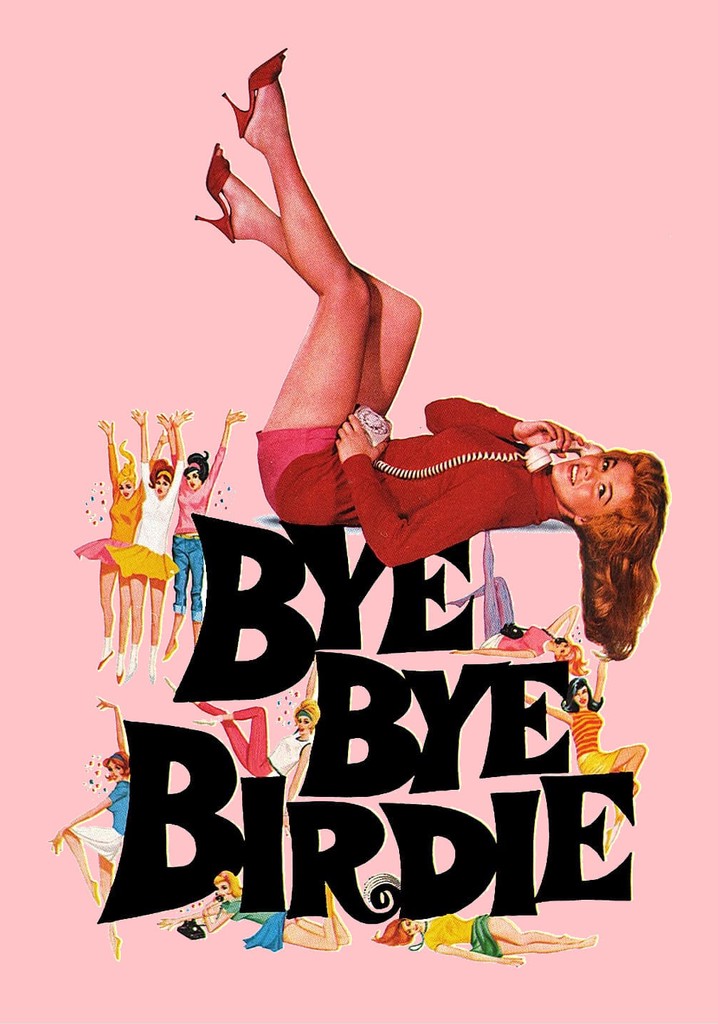 Bye Bye Birdie streaming: where to watch online?