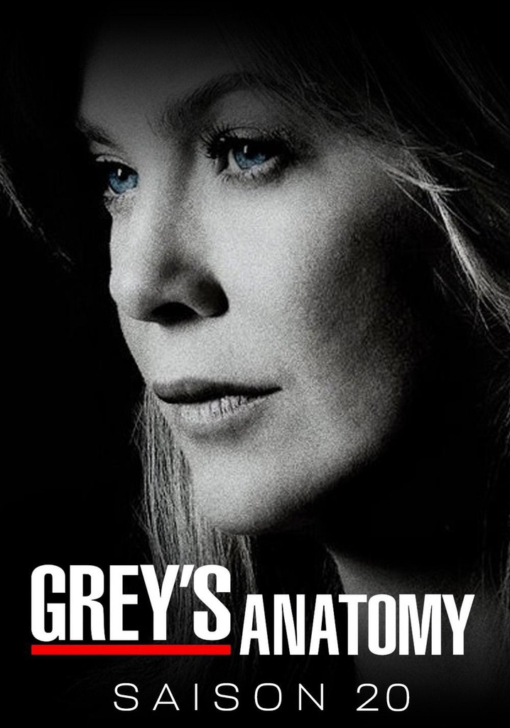 Voir Saison 20 Grey's Anatomy (À coeur ouvert) streaming