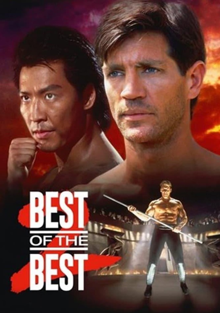 Karate tiger 6: Nejlepší z nejlepších 2 online