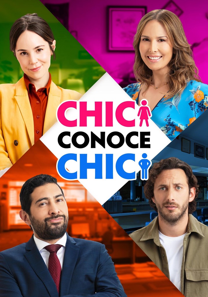 Chica conoce a chico - película: Ver online en español