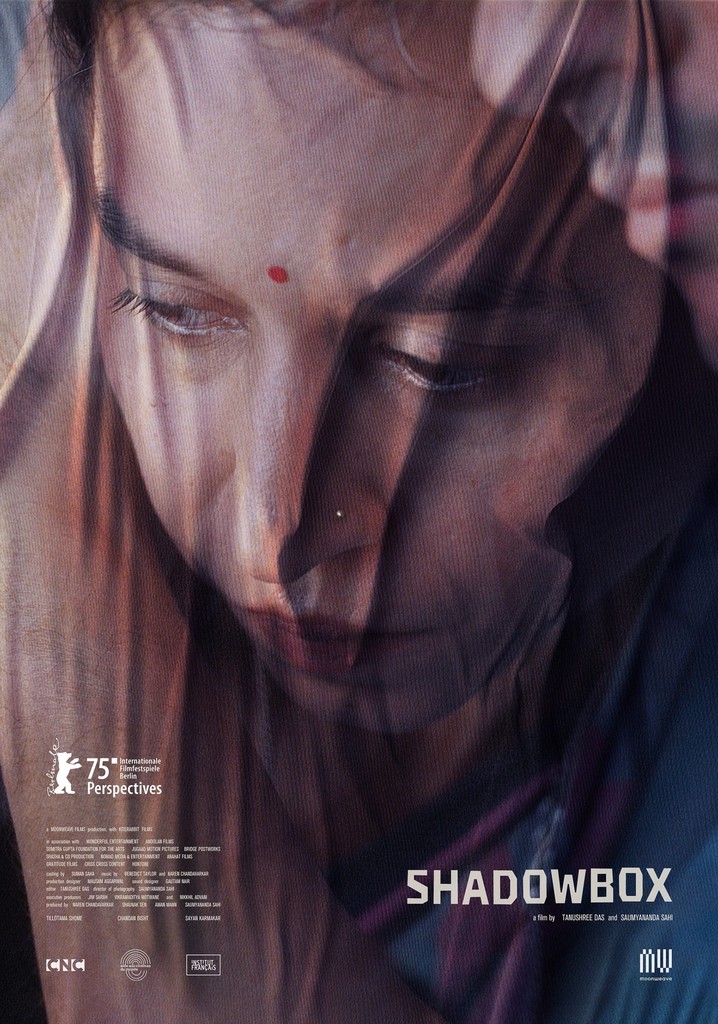 Shadowbox streaming: where to watch movie online?