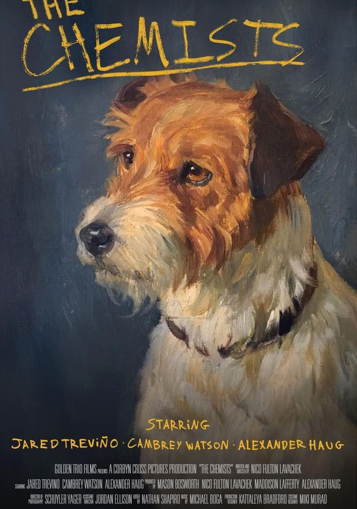 The Chemists - movie: where to watch streaming online