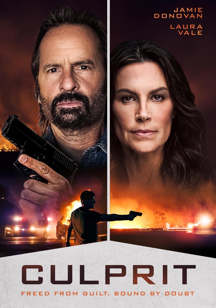 Culprit filme - Veja onde assistir online