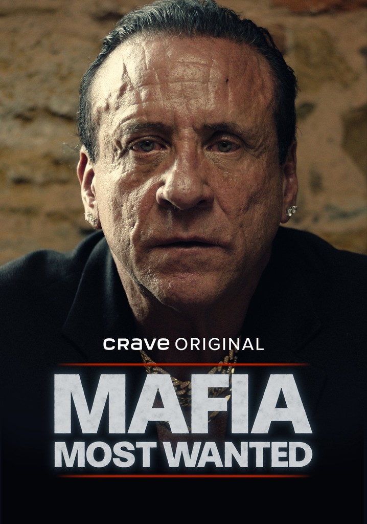 Mafia: Most Wanted - streaming tv show online
