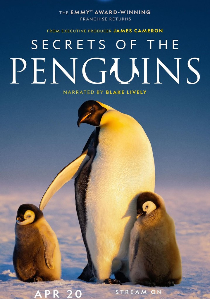 Secrets of the Penguins 1. évad epizódok online lejátszása
