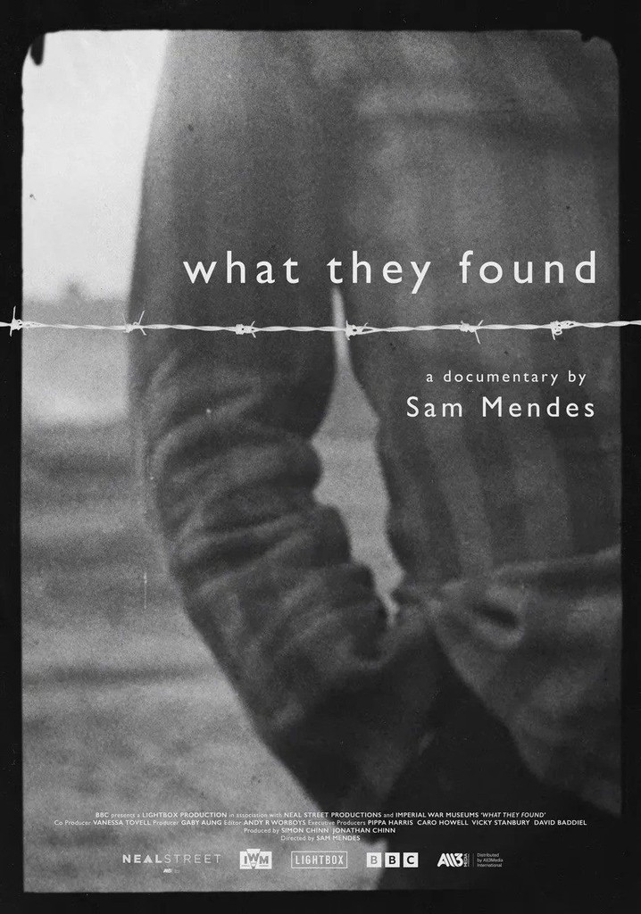 What They Found - movie: watch streaming online