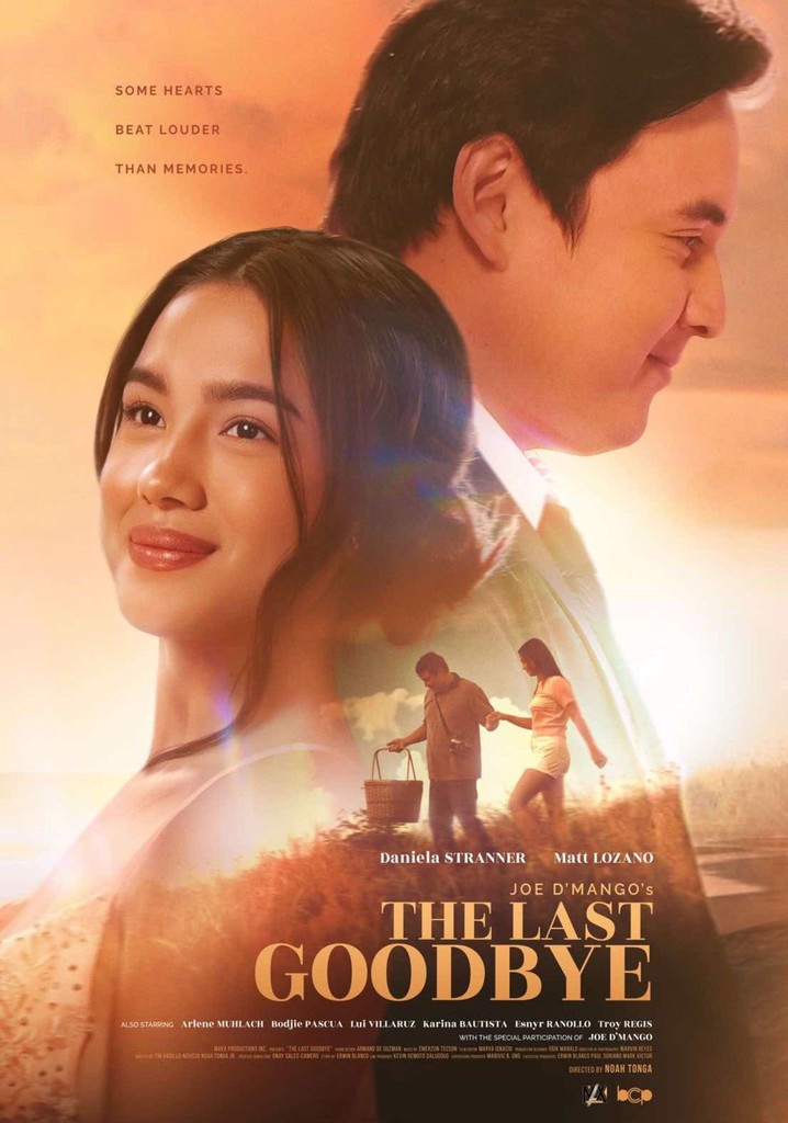 The Last Goodbye - movie: watch streaming online