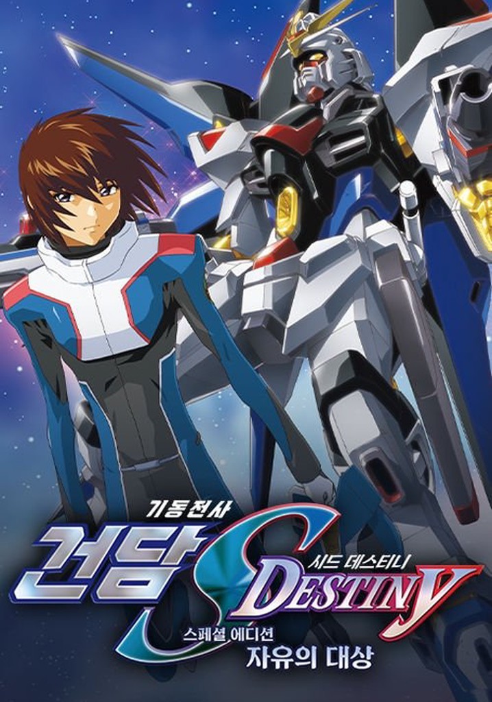 기동전사 건담 SEED DESTINY 스페셜 에디션: 자유의 대상