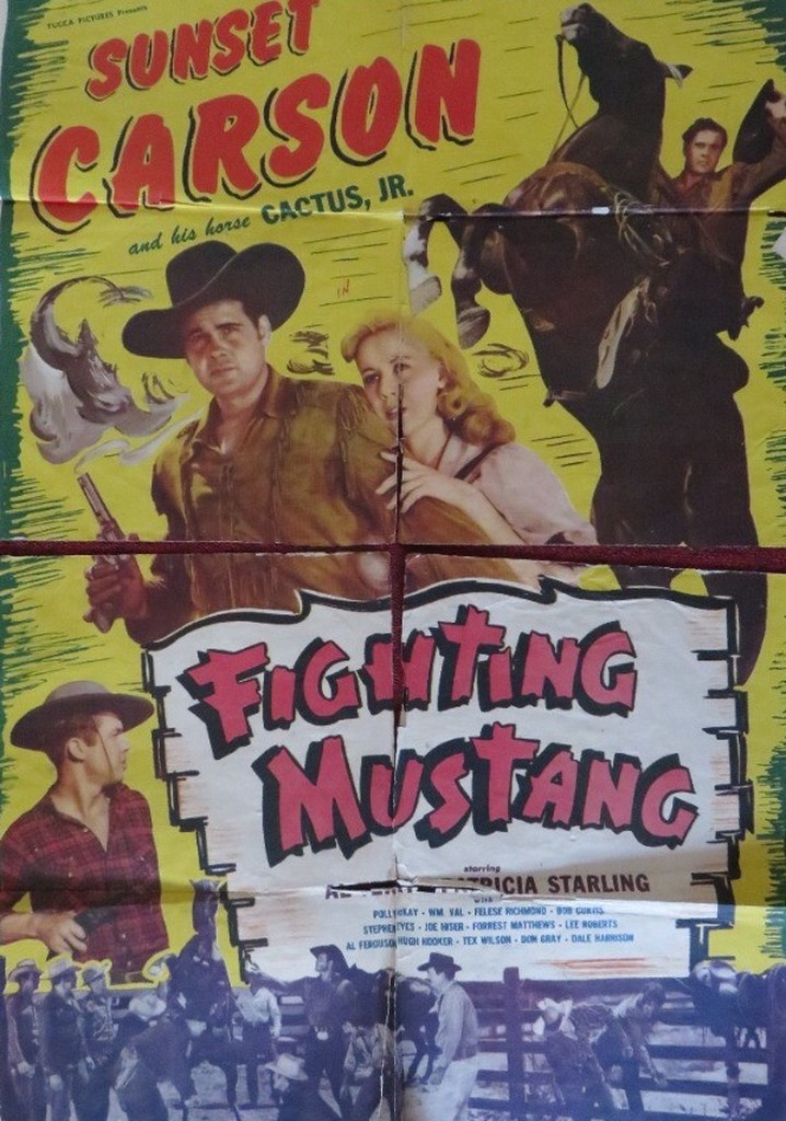 Fighting Mustang streaming: where to watch online?