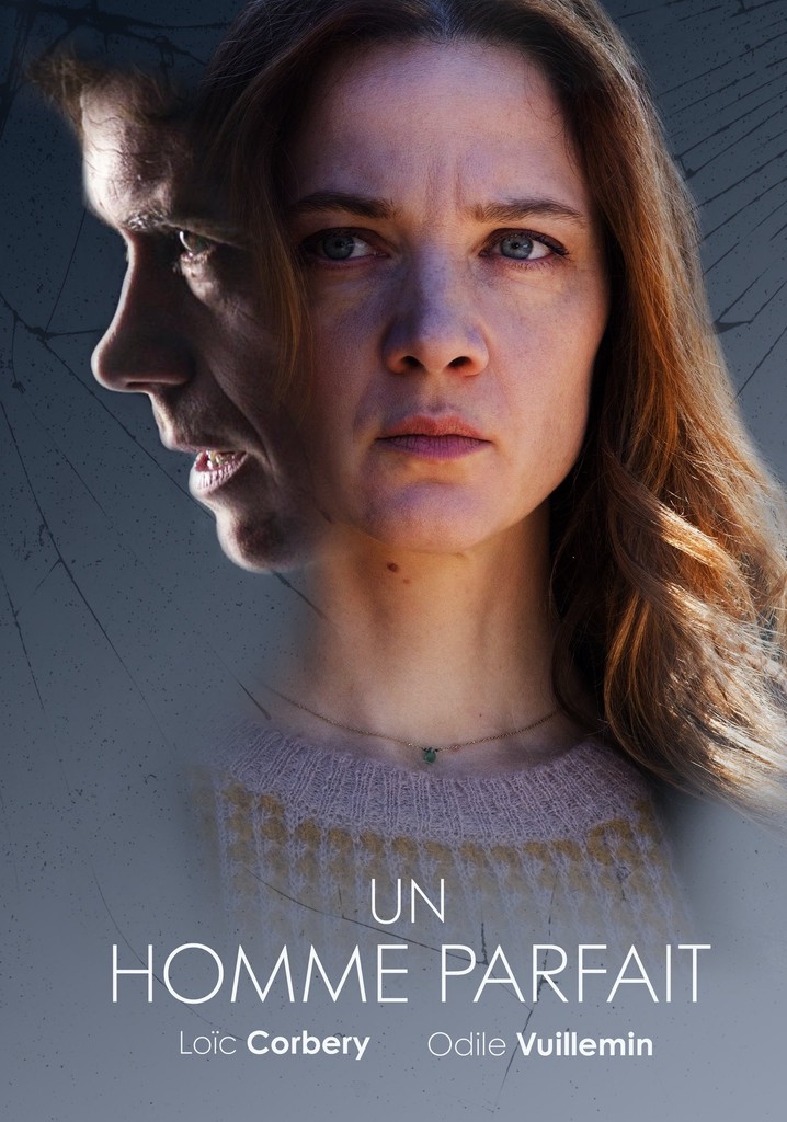 Regarder Un homme parfait en streaming complet