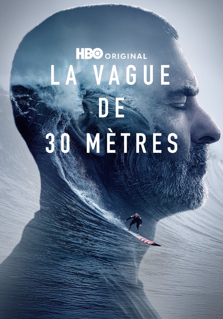 Regarder la série 100 Foot Wave streaming