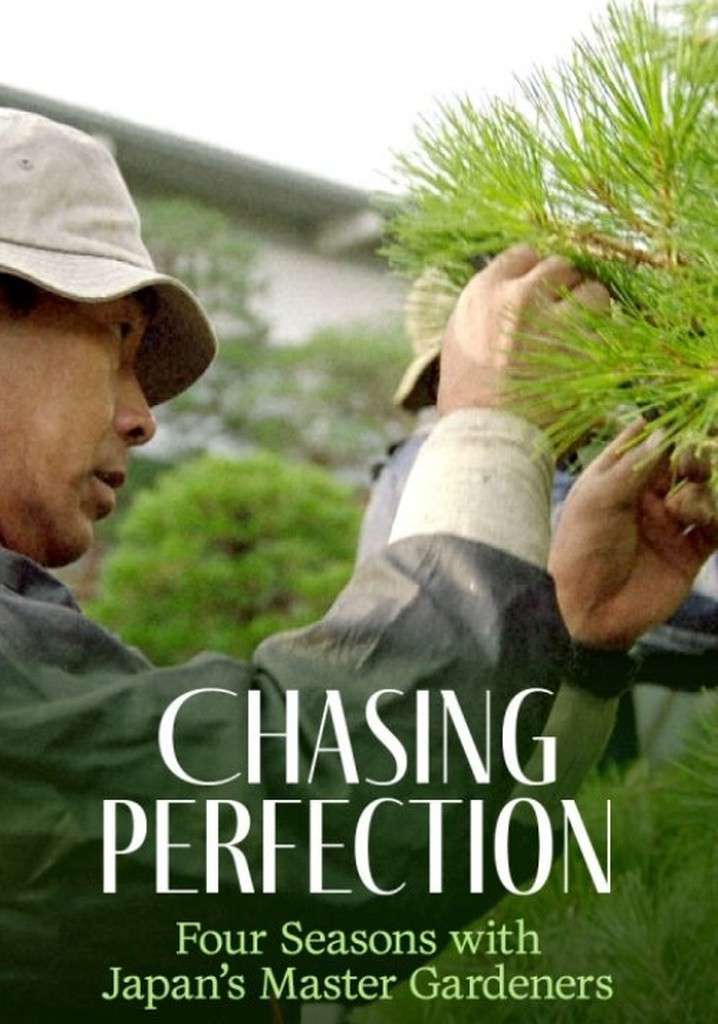 Chasing Perfection streaming: where to watch online?