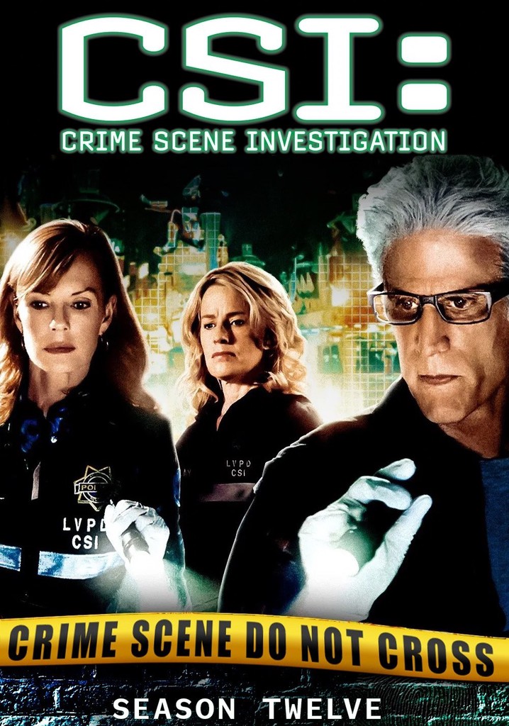 CSI：科学捜査班シーズン12 - 動画配信で視聴！