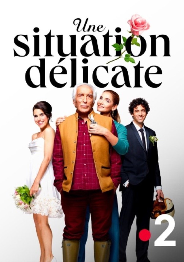 Regarder Une situation délicate en streaming complet