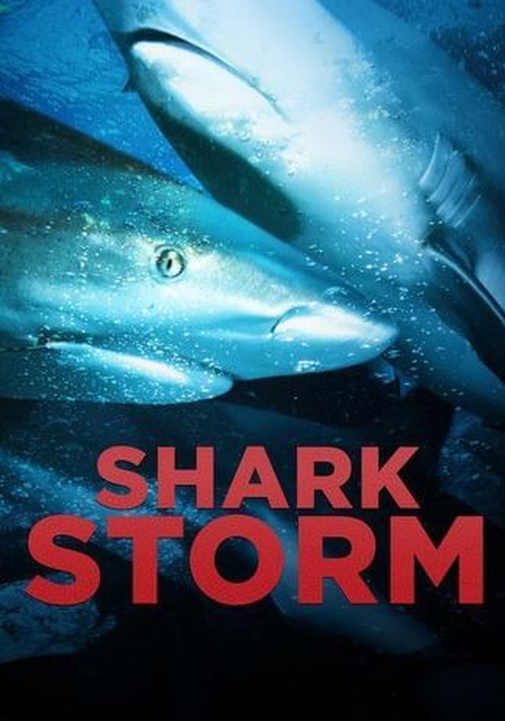 Shark Storm - streaming: gdzie obejrzeć film online?