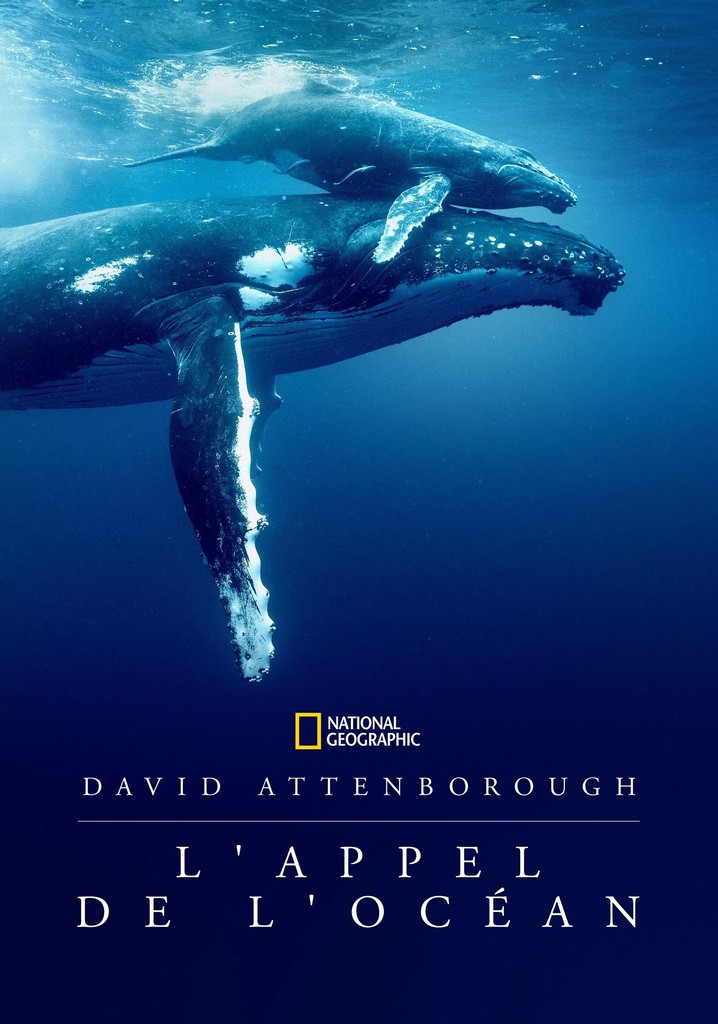David Attenborough : L'Appel de l'Océan en streaming