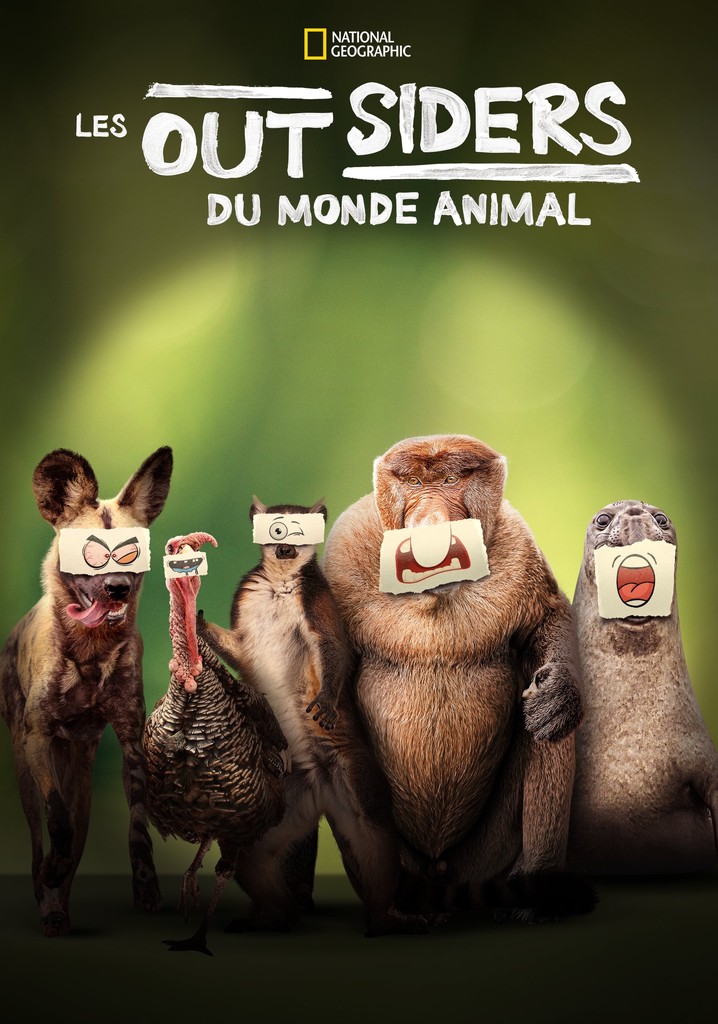 Voir Saison 1 Les outsiders du monde animal streaming