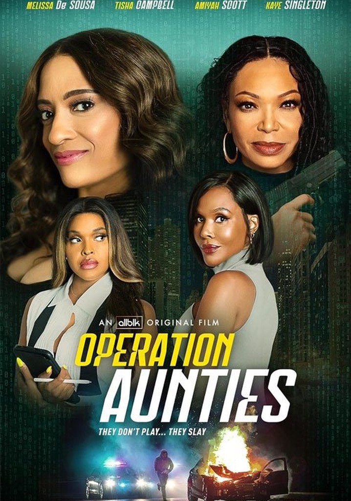 Operation: Aunties streaming: where to watch online?