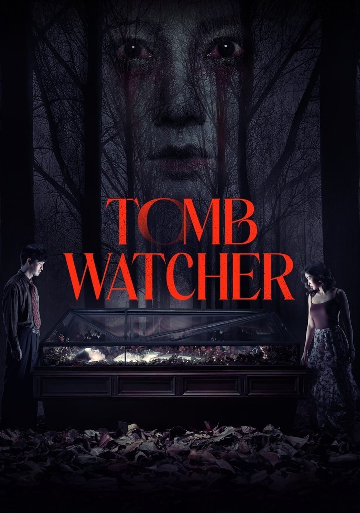 Tomb Watcher - movie: where to watch streaming online