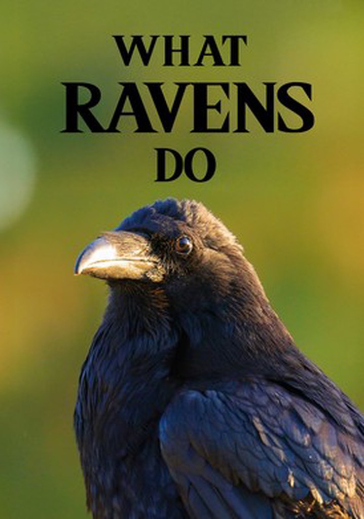 What Ravens Do - movie: watch streaming online