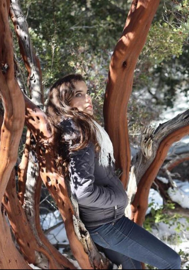 Reappear streaming: where to watch movie online?