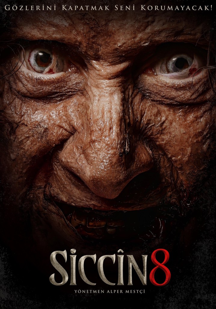 Où regarder Siccin 8 en streaming complet et légal