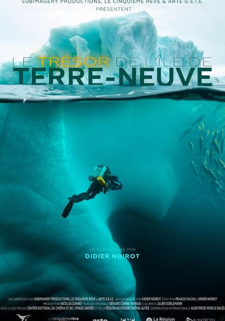 Le trésor de l’île de Terre-Neuve en streaming