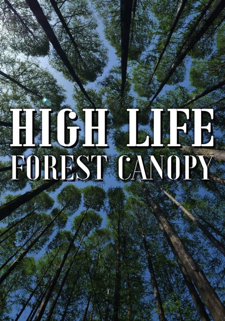 High Life: Forest Canopy filme - Onde assistir