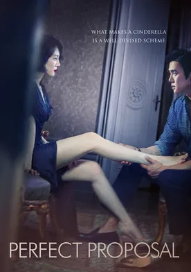 Perfect Proposal Streaming Where To Watch Online