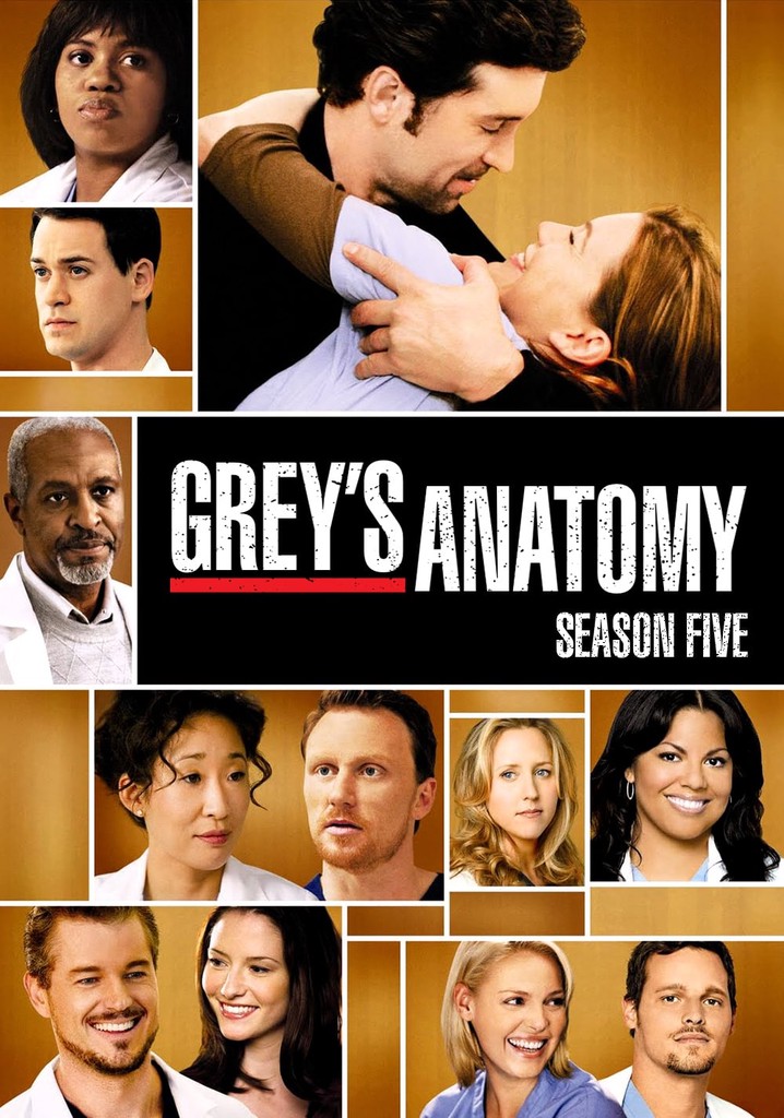 Grey's Anatomy Season 5 - watch episodes streaming online