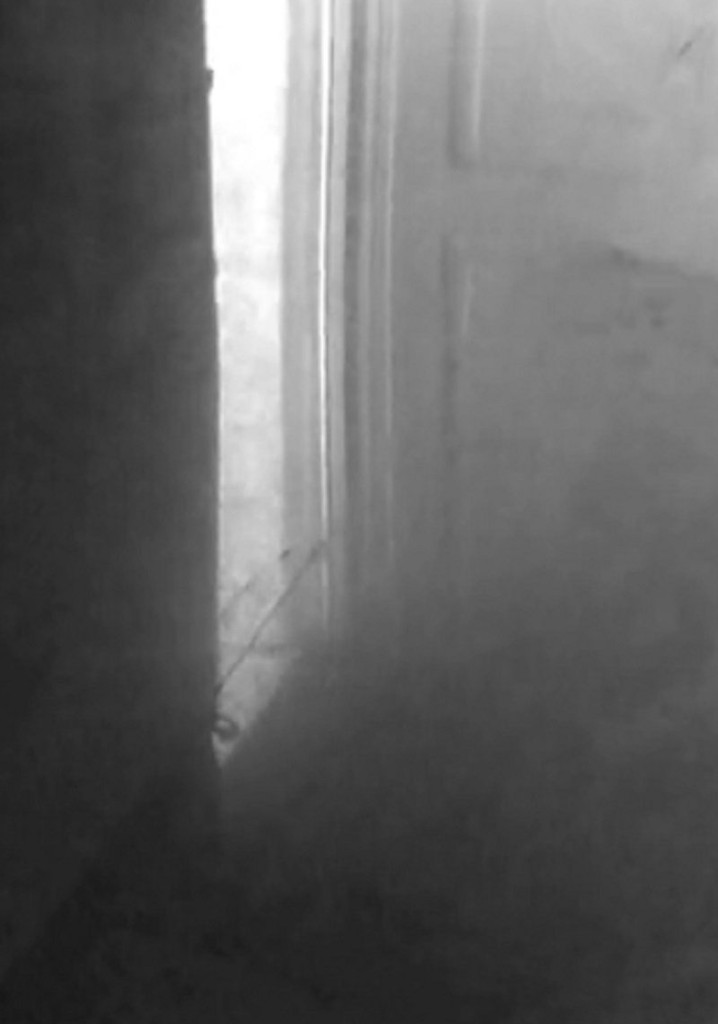 C - movie: where to watch streaming online