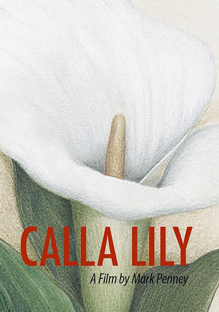 Calla Lily - película: Ver online completa en español