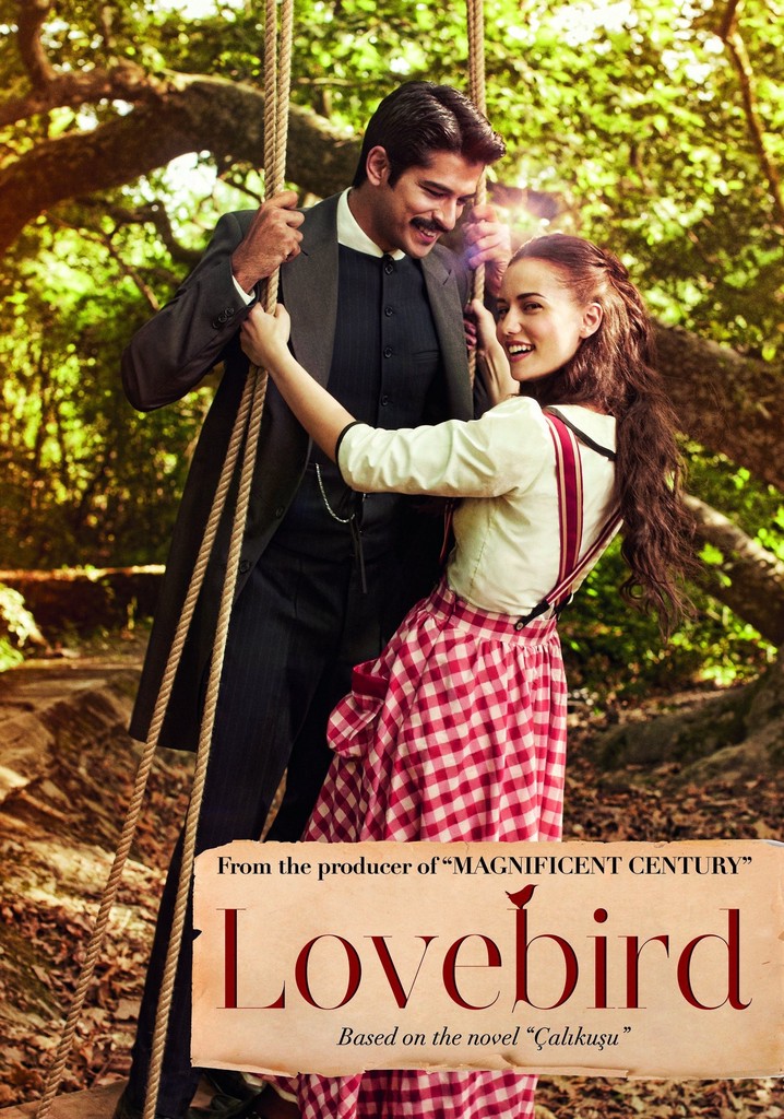 Çalikusu - Ver la serie online completa en español