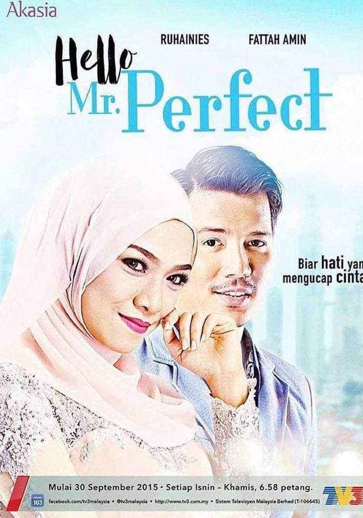Hello, Mr. Perfect! - streaming tv show online