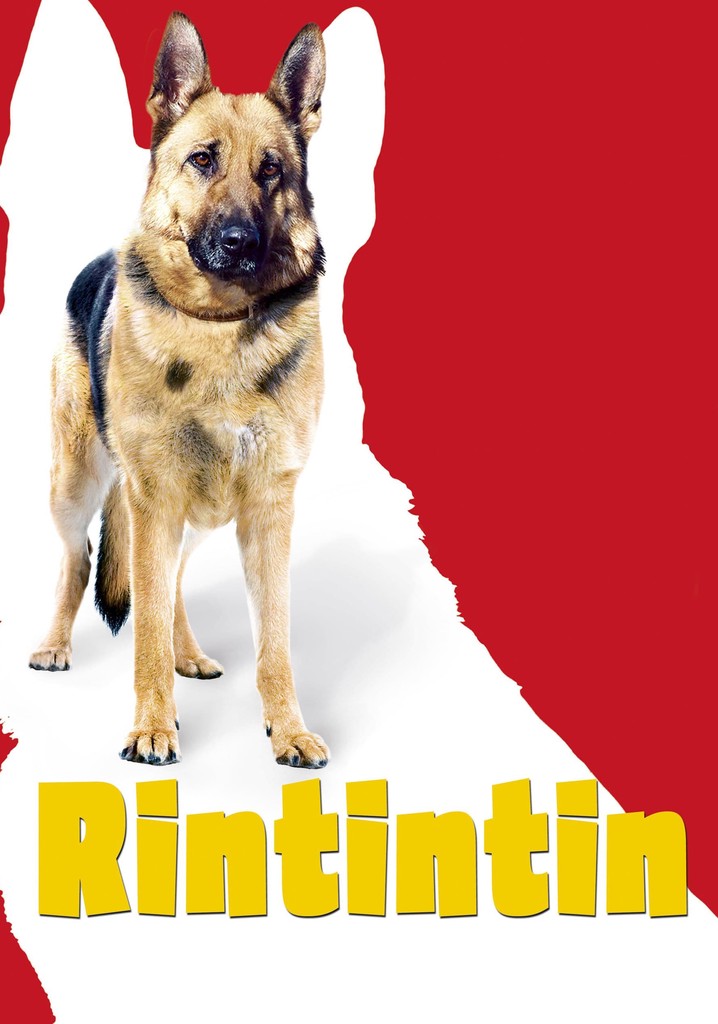 Où regarder Rintintin en streaming complet et légal