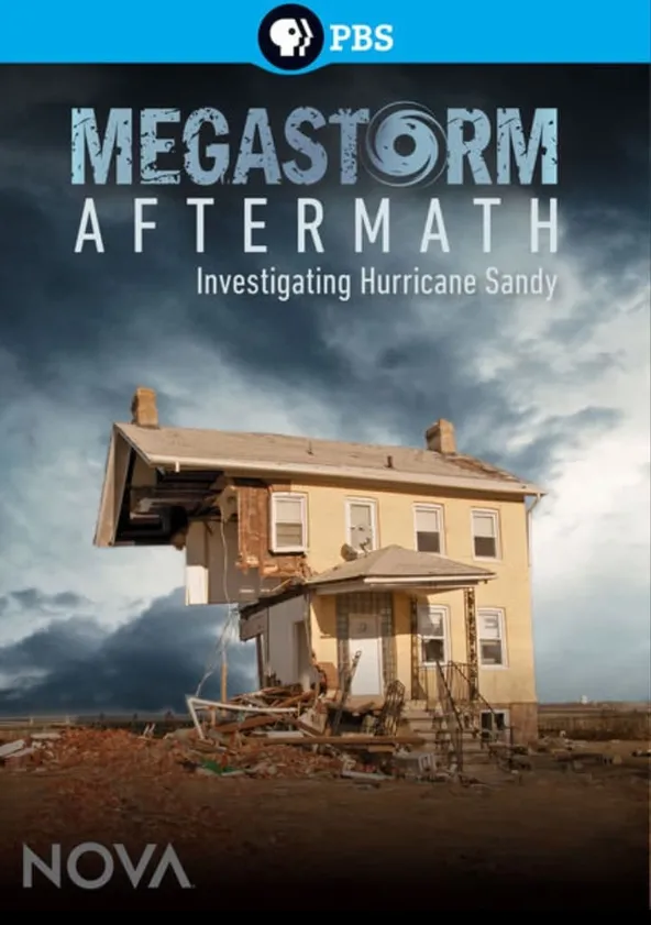 Megastorm Aftermath streaming: where to watch online?