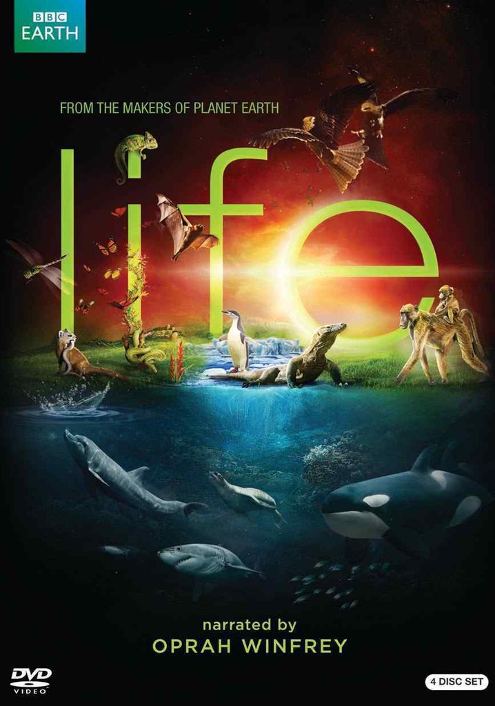 Life - Ver la serie online completas en español