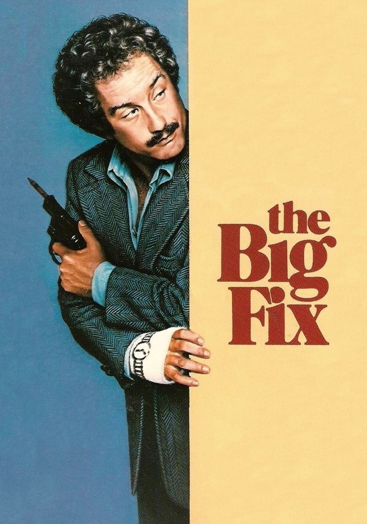 The Big Fix streaming: where to watch movie online?