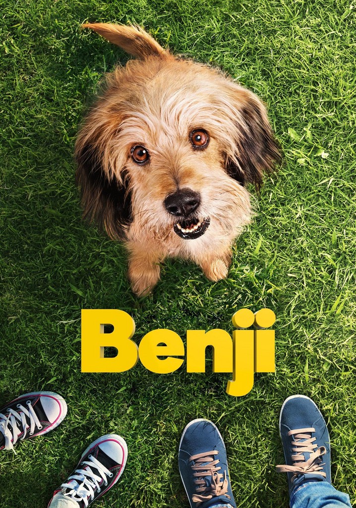 Benji streaming: where to watch movie online?