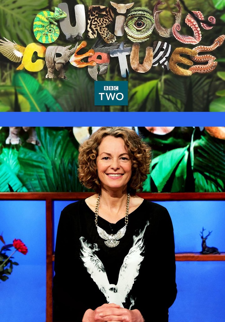 Curious Creatures - streaming tv show online