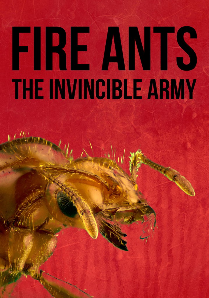 Fire Ants 3D: The Invincible Army streaming