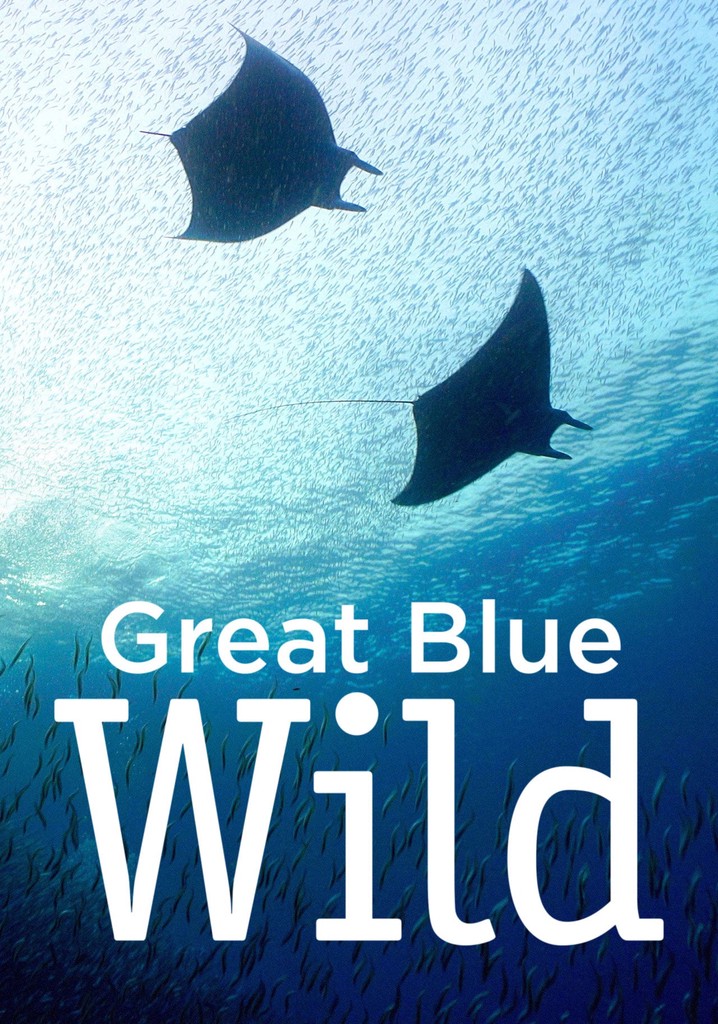 Great Blue Wild - stream tv show online