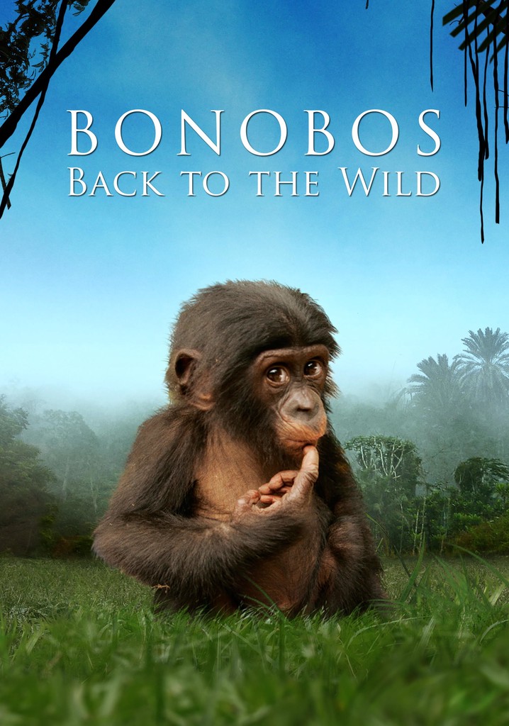 Bonobos: Back to the Wild - película: Ver online