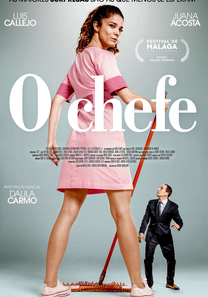 O Chefe filme - Veja onde assistir online