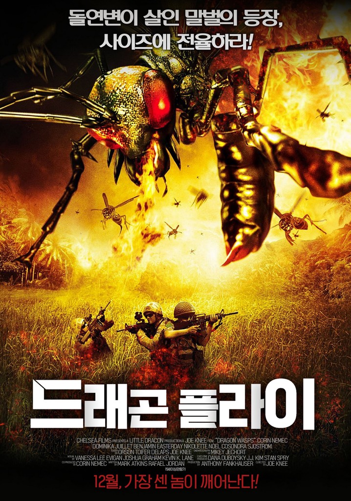 말벌 (Wasp, 2003) 영화 정보